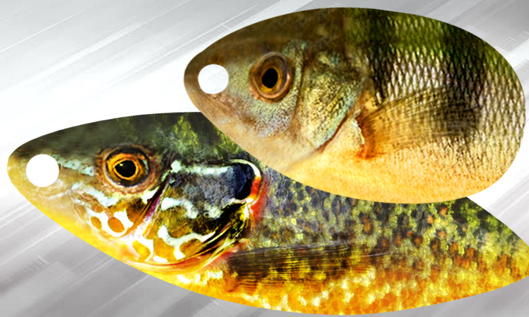 Ultimate Fishing Images - Lakeland Component Solutions