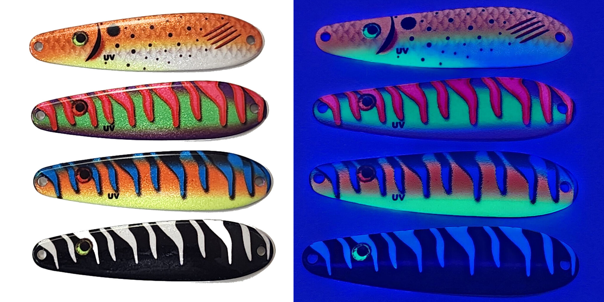 Ultimate Fishing Images - Lakeland Component Solutions